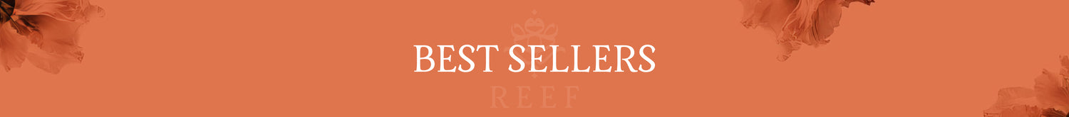 Home | REEF Perfumes UK